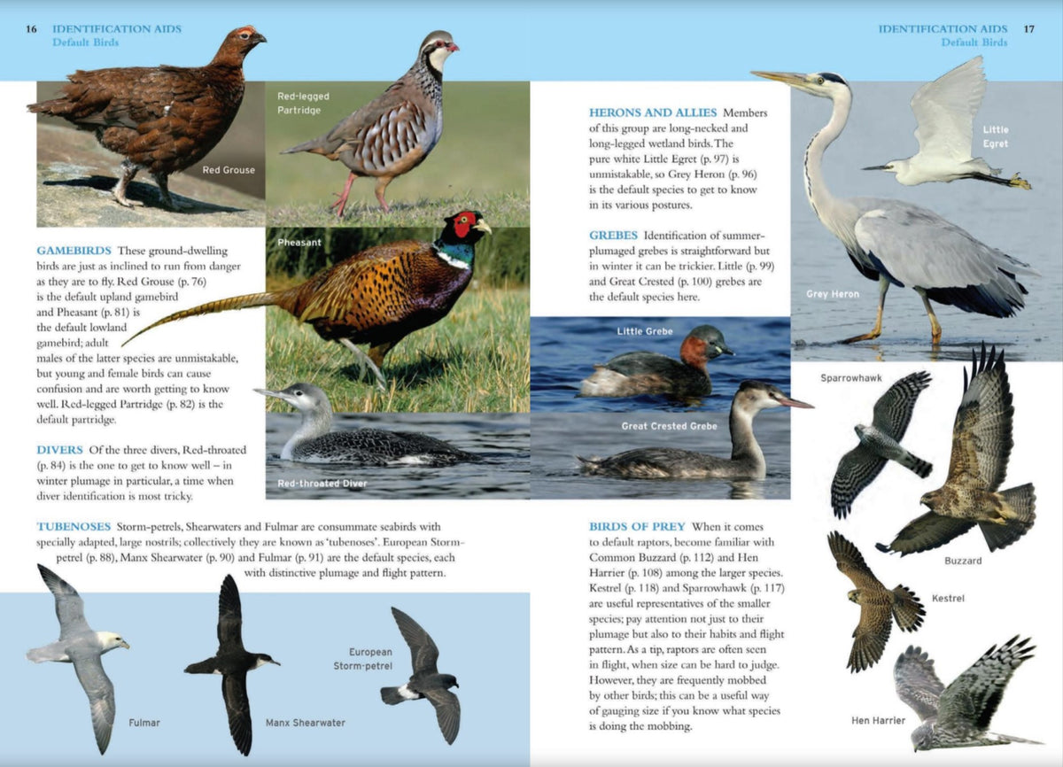 Collins BTO Guide to British Birds – BTO Services Ltd.